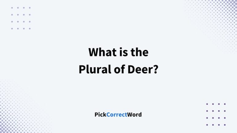 What Is The Plural Of Deer?